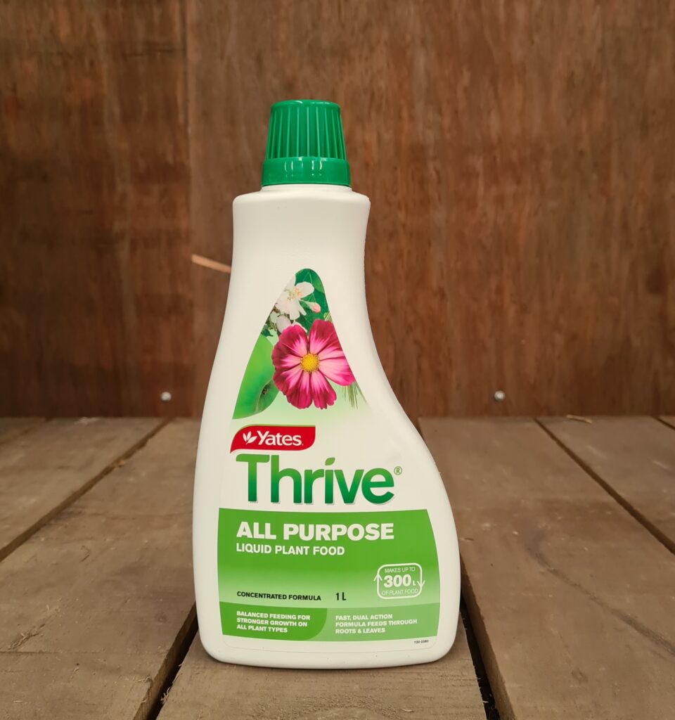 THRIVE ALL PURPOSE CONCENTRATE 1L - Yates - PlantMail by Garden Central
